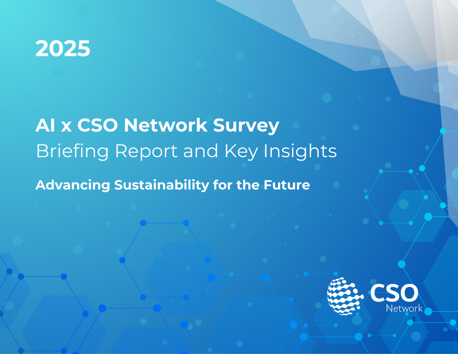 AI For Sustainability CSO Survey Findings – CSO Network